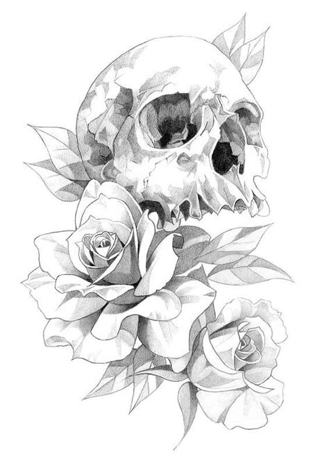 Skull Drawing