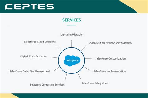 Salesforce Consultant Ceptes