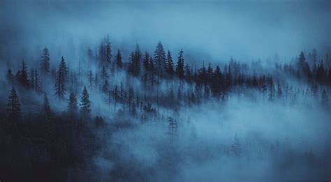 Mist Wallpaper