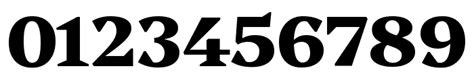 Platypi 800 Font Serif Classic What Font Is
