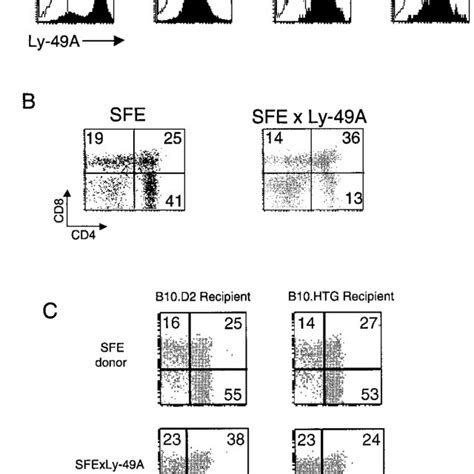 Model Of Thymic Selection The Affinity Model The Graphs Represent The