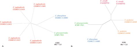 The Result Of The Pairwise Homoplasy Index Phi Tests Of Download
