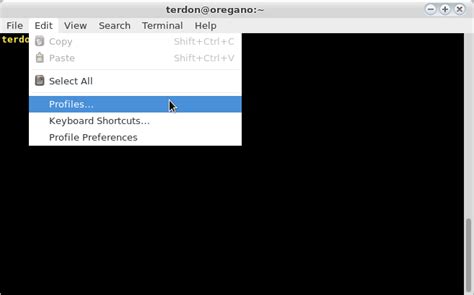 Linux How To Make `script` Command Loaded Automatically On Terminal