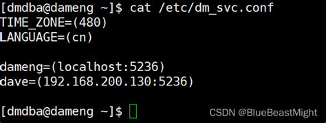 达梦disql工具实战 csdn博客