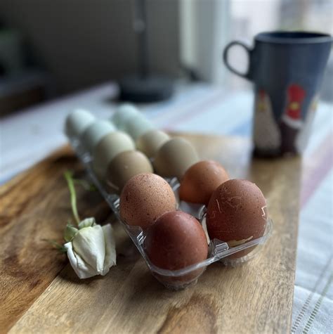 The Buckaboo Commitment Buckaboo Farm