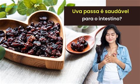 Uva Passa é Bom Para O Intestino Saiba Como Ela é útil Para Nossa Saúde