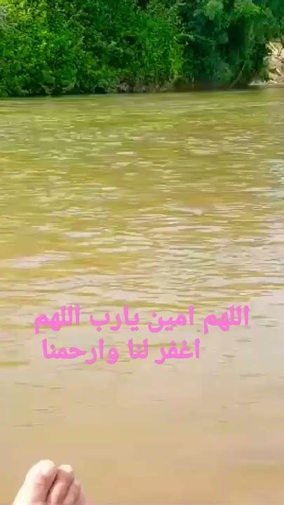 Chortchortschorte Youtube