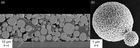 Sem Images A Cross Section Of Hierarchically Structured Electrode E2 Download Scientific