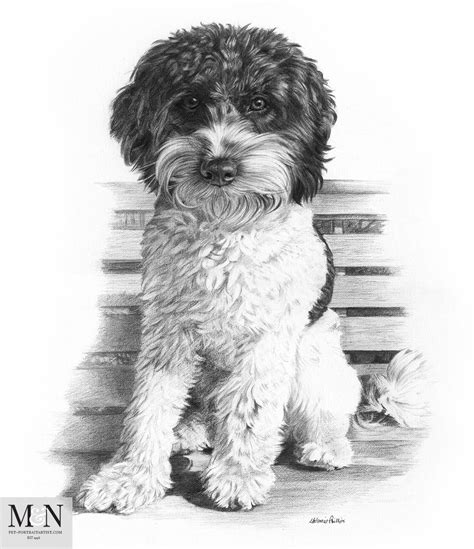 Cavapoo Pet Portrait Melanie And Nicholas