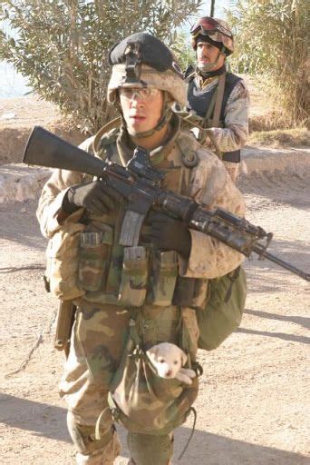 Gallery Foto Operative Real Action Pagina 295 Us Marines Usmc