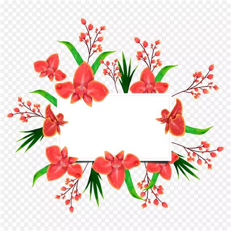 红色热带蝴蝶兰框架矢量图png图片素材下载图片编号ykerekxy 免抠素材网