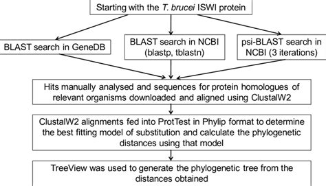 1 1 Flowchart For Construction Of Protein Phylogenetic Tree The Download Scientific Diagram