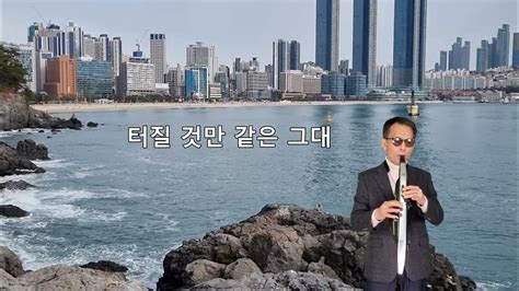 봉선화 연정 현 철 전자색소폰 에어로폰 Ae 30 Violin 카멜레온 리버브 사용 Youtube