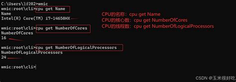 Windows查看cpu信息的常用方法windows查看cpu命令 Csdn博客