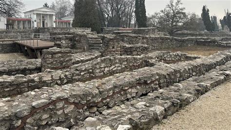 Chiefs Fan Ella Netzer Is Ready To Be The Next Great Screencaps Star