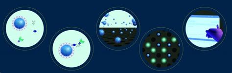 Scientific Principle Of Simoa Single Molecule Array Technology Quanterix