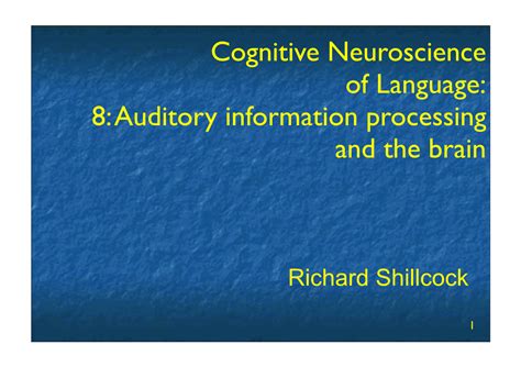 8 Auditory Information Processing And The Brain Docslib