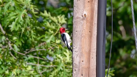 Bmk Products Electrical Manufacturer Ems Partners