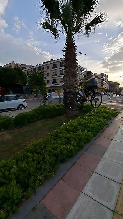 Bynny Hop Gap Youtube