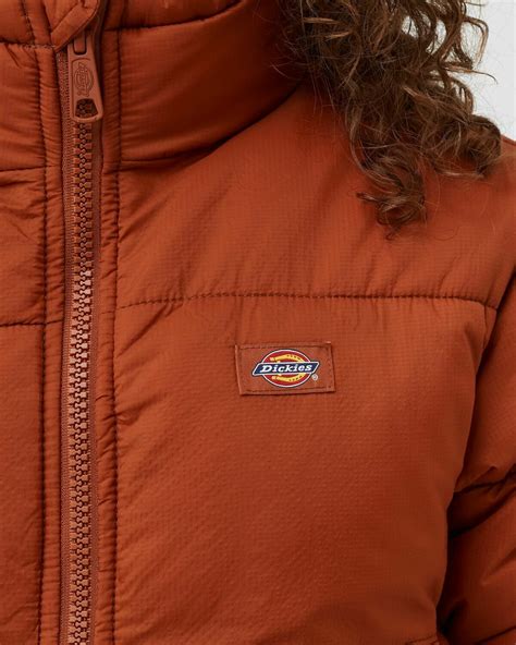 Dickies Alatna Brown Down And Puffer Jackets Dickies Construct