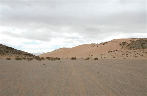 Johnson Valley Ca 14 Day Forcast On Sale