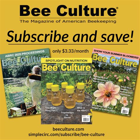 Honey Bee Stinger Bee Culture