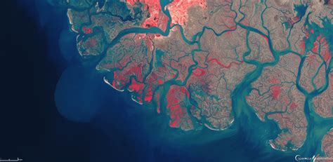 Indus River Delta
