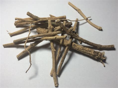 7 Grams Silene Capensis Xhosa Wildharvested South Africa Our Sacred