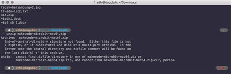 Cant Extractedexpand Makecode Offline Version For Mac · Issue 3876 · Microsoftpxt Microbit