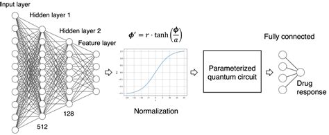 论文审查 Optimal Normalization In Quantum Classical Hybrid Models For