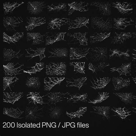 200 4k Spider Web Textures Overlayphotoshop Png Template For Photoshop
