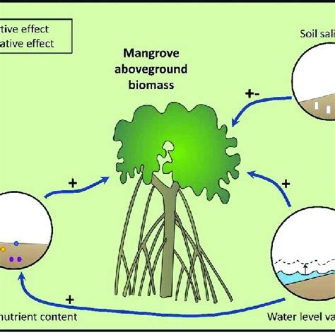 The Relationships Between Soil Nutrient Content Variables Across Plots