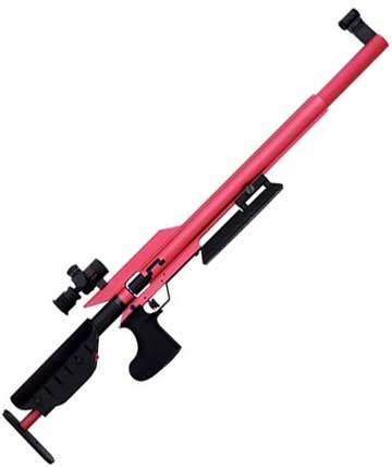 Entry Level 10 Meter Airguns Rifles Blog Pyramyd Air