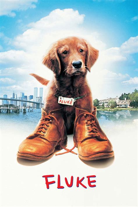 Fluke 1995 — The Movie Database Tmdb