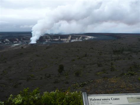 Steam Vents