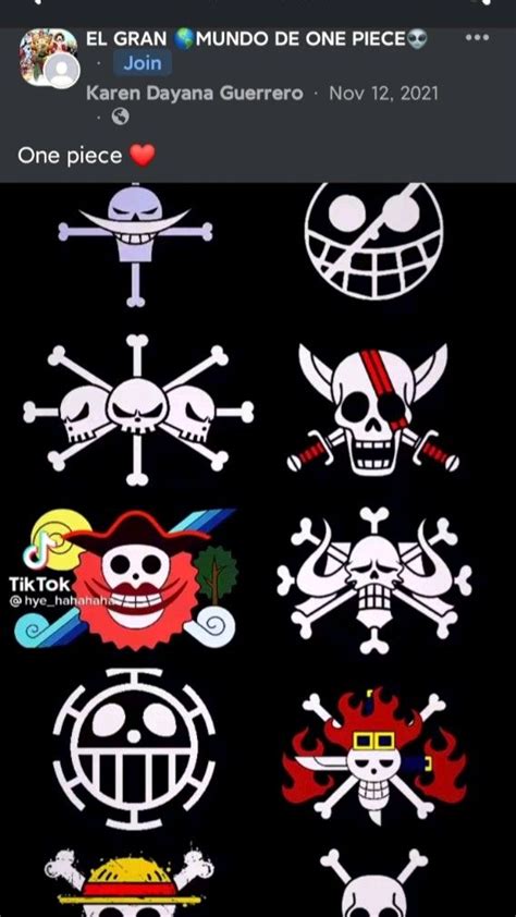 One Piece Stickers With Chinese Characters