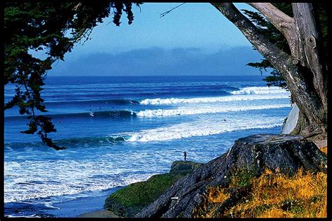 Pleasure Point California Alchetron The Free Social Encyclopedia