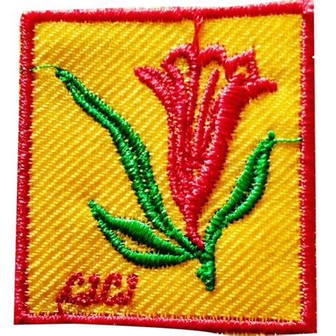 Terbaru 26 Bunga Lili Lambang Pramuka Gambar Bunga Indah