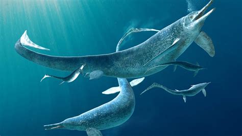 10 Biggest Water Dinosaurs Sea Monsters Ever Found In Archaeology