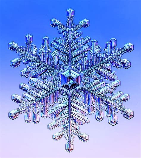 Snowflake Snowflake Photography Snowflakes Christmas Snowflakes Wallpaper