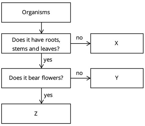 Diversity Of Plants Primary 3 Science Geniebook