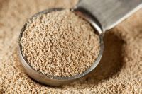 Torula Yeast Lake State By Agrisent De Mexico Sa De Cv Usa