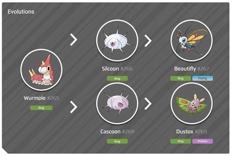 Wurmple Evolution Chart Recently Caught This Which Of Its Evolved
