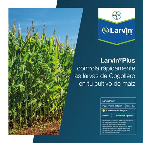 Agro Bayer Perú Larvin Plus® Controla Huevos Y Larvas De Cogollero