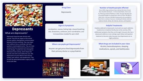 Infograph Assignment