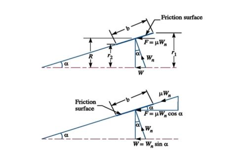 Internal Vector Borne Transmission Salozap