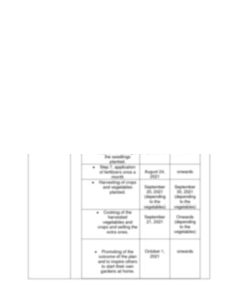 Solution Implementation Plan Sample Studypool