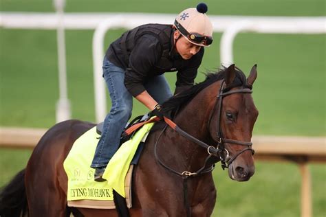 Former Mlber Jayson Werth Will Run For The Roses At Kentucky Derby 2025 With Flying Mohawk The