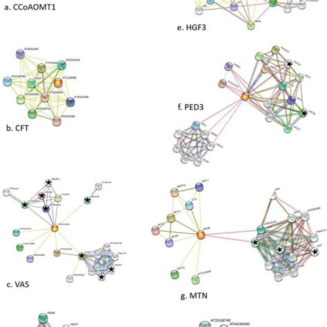 String Functional Protein Association Networks String