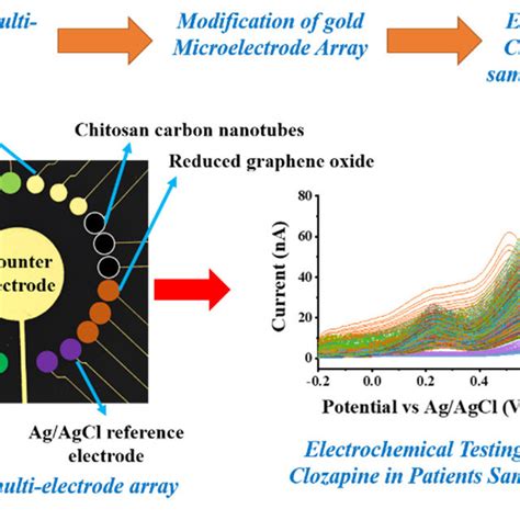 Scheme Of The Intelligent Multi Electrode Array System For